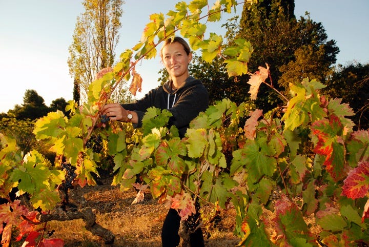 The Little Grape | Substack