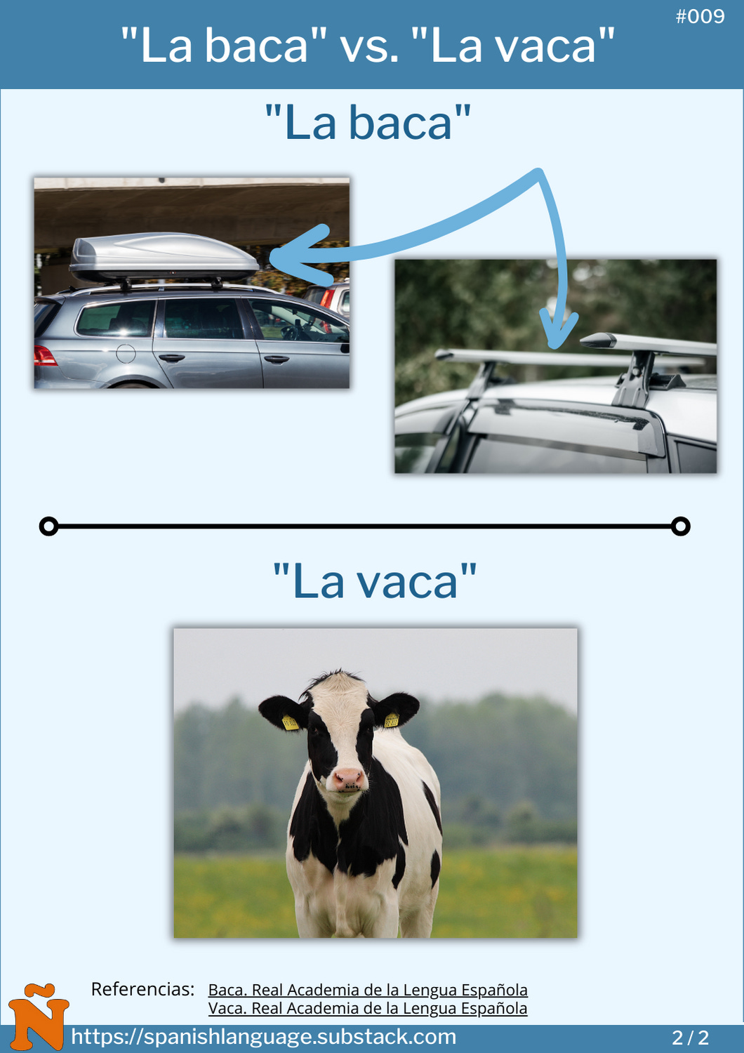 Spanish Homonymous words: ‘La baca’ vs. ‘La vaca’. (#009)