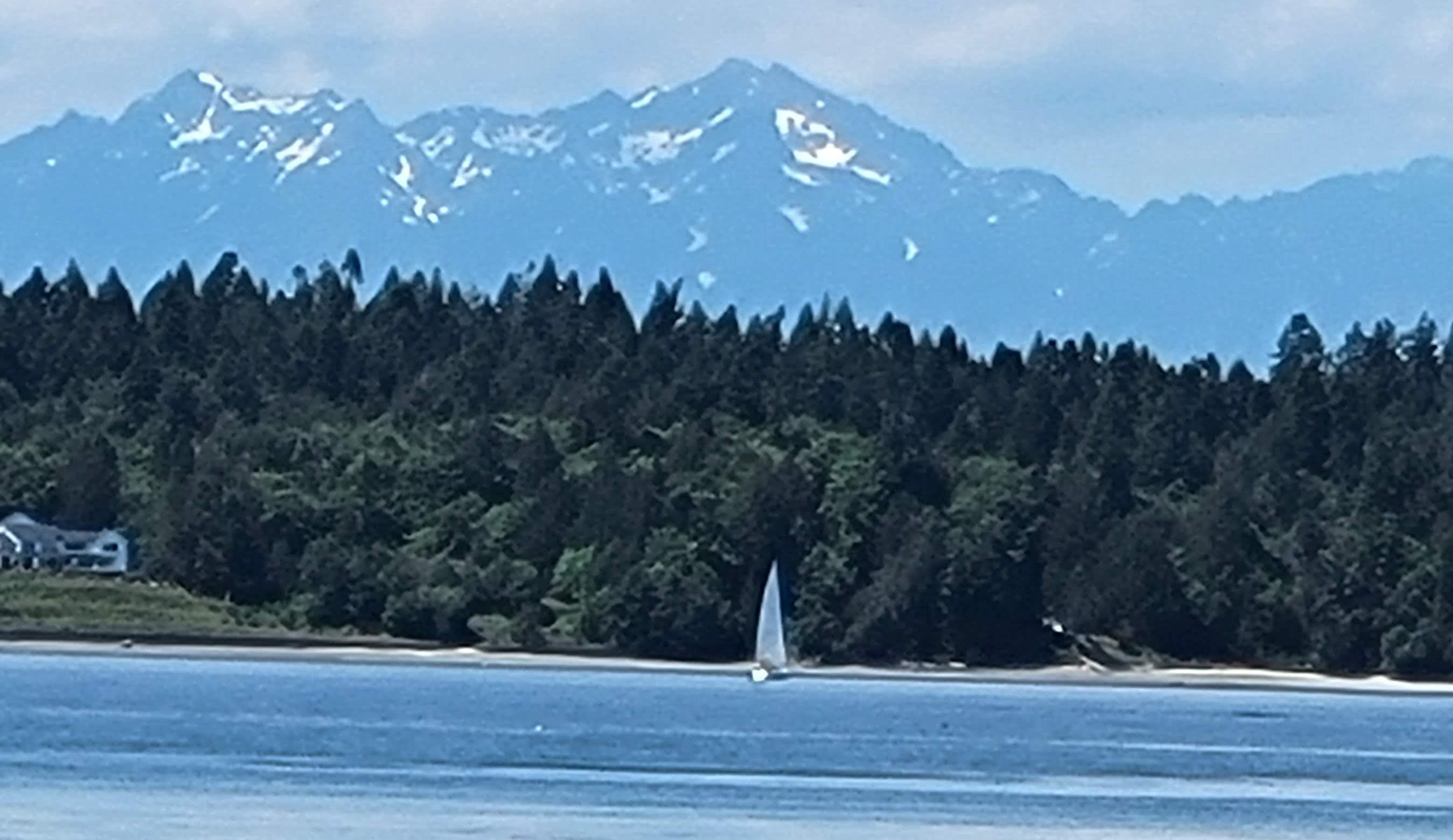 Becca Campbell | Substack