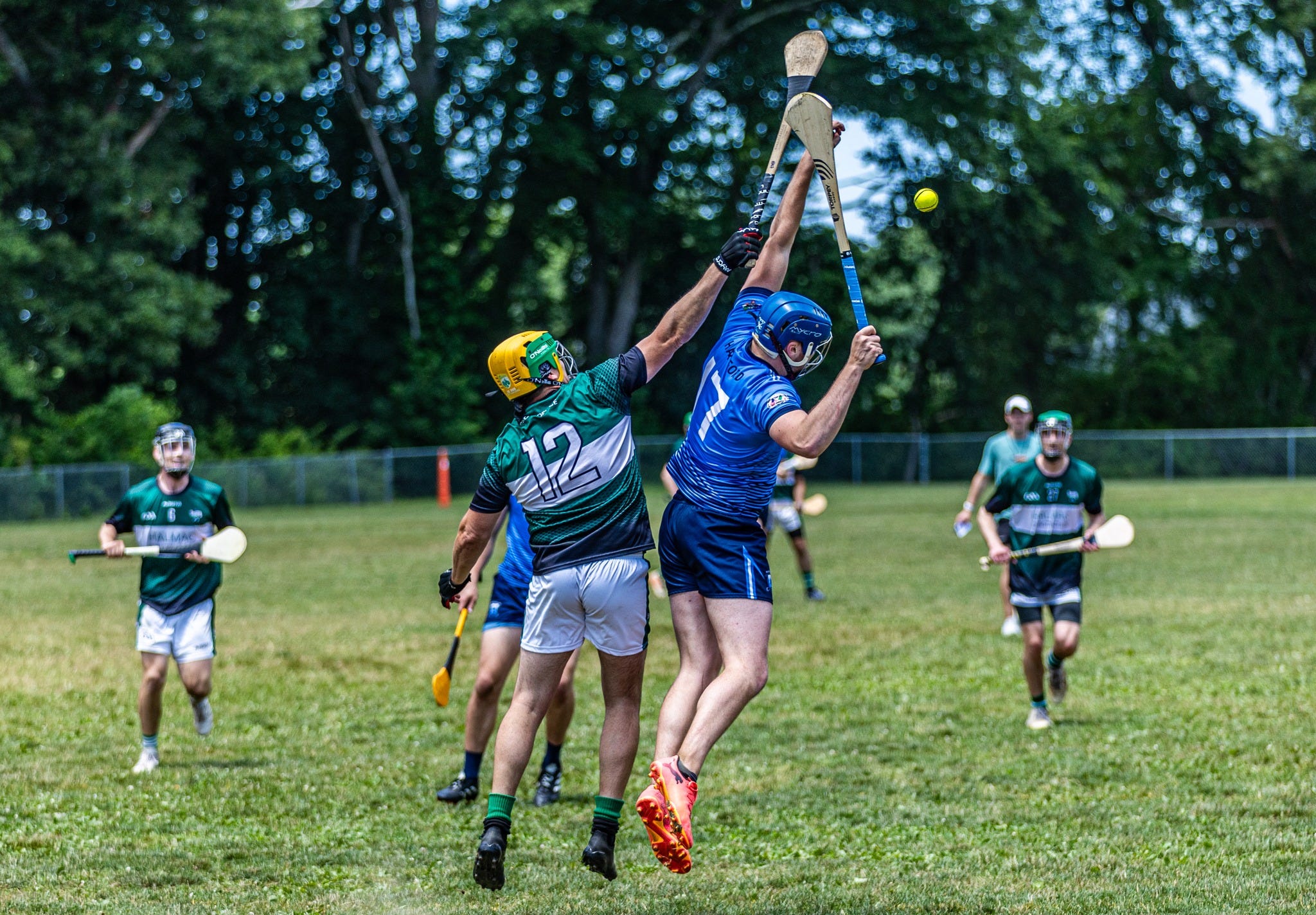 A History of Hurling - by Sean Hardies