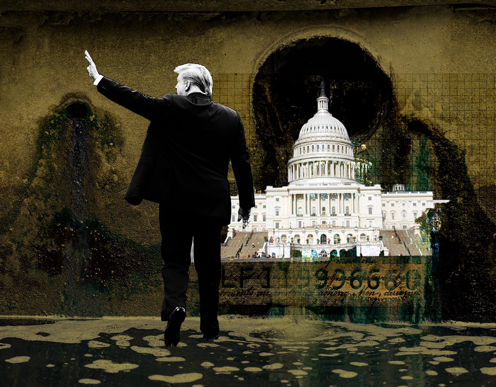 Ten Ways to (Actually) Drain the Swamp