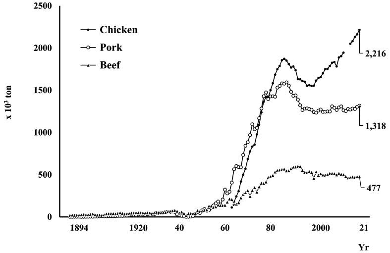 The Chicken in Power - by Leon - Hidden Japan