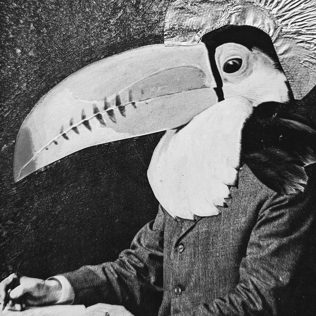 Susan Mulder | Substack