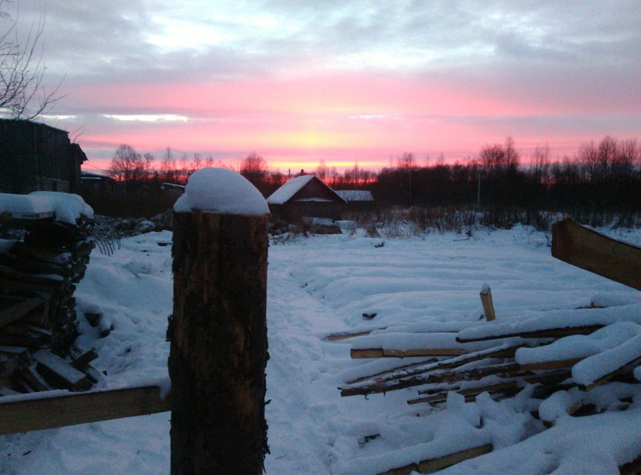 Living off the land in rural Russia - Edward Slavsquat