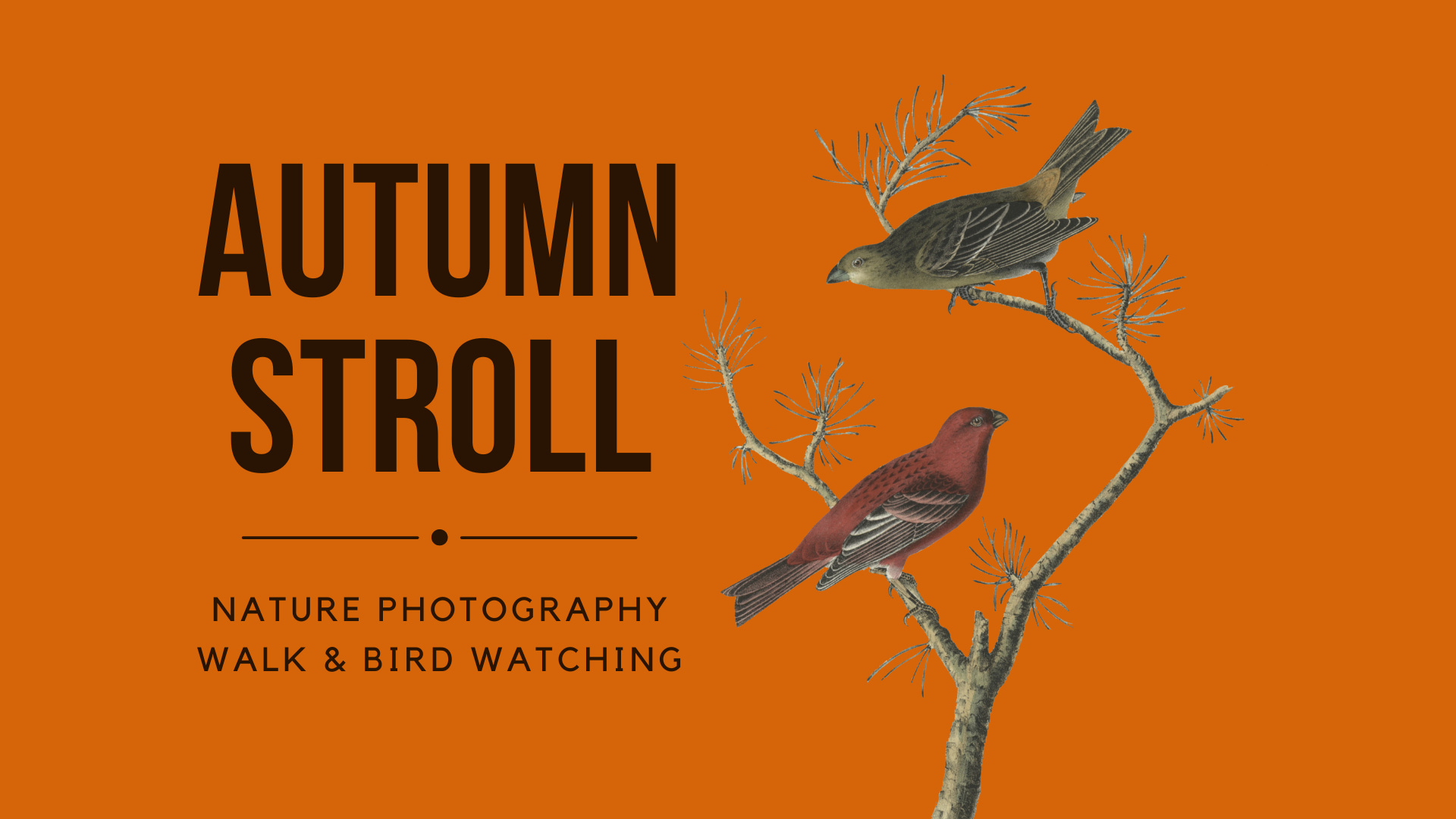 Explore Ethnic Grocery Stores in Akron & More