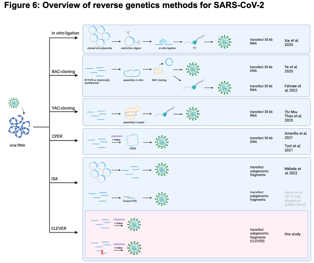 DIY Virus Editing - The Easy Way - by Brian Mowrey