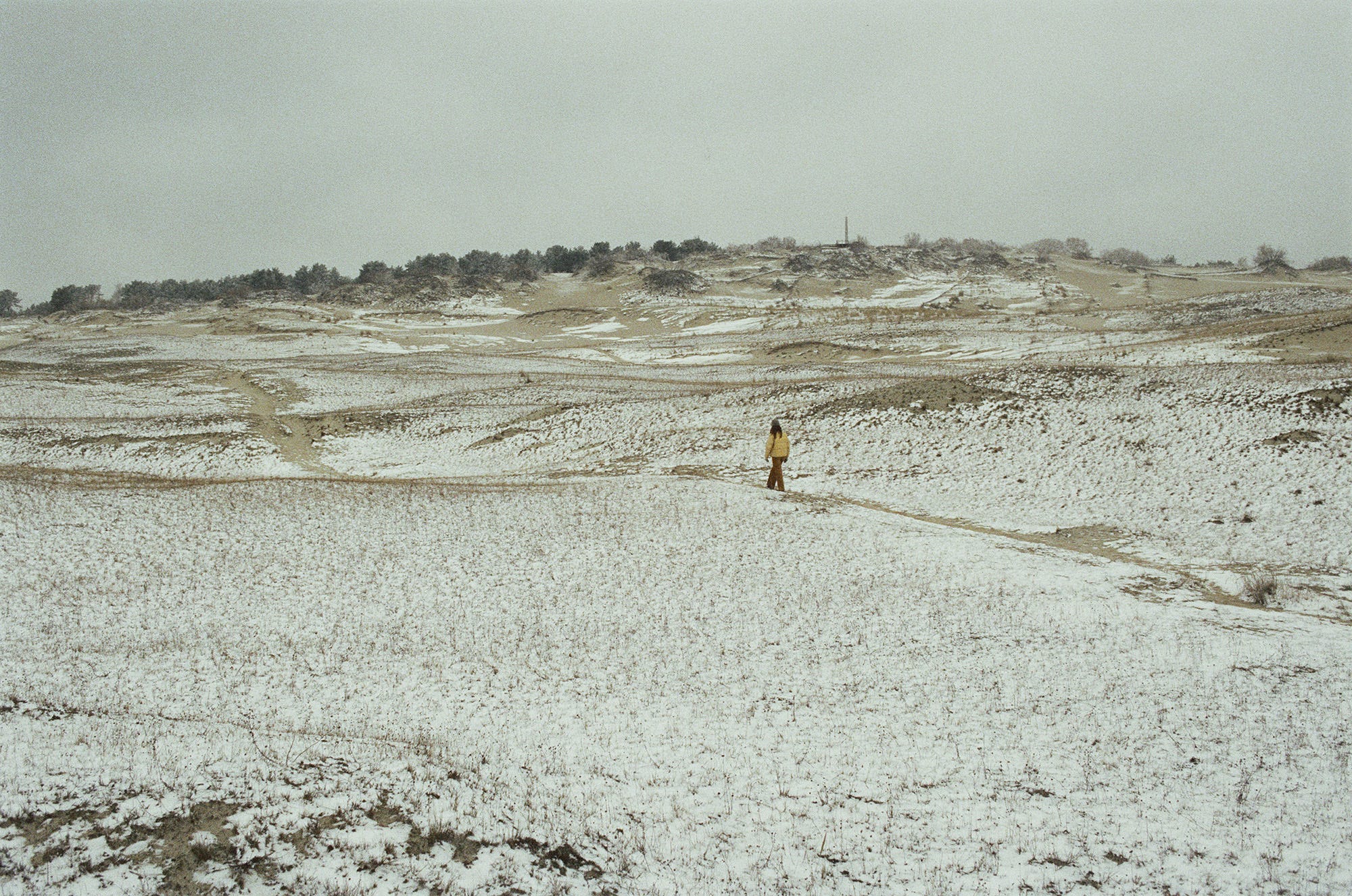 Trauma as Reworlding - by Rūta Žemčugovaitė