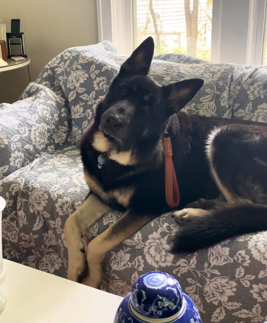 The Paradox of Inspiration - by J. F. Riordan