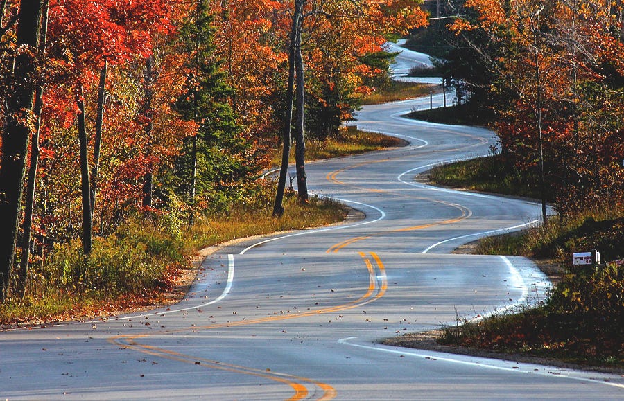 Housing Starts Jan 2024: Slow … Curve Ahead?