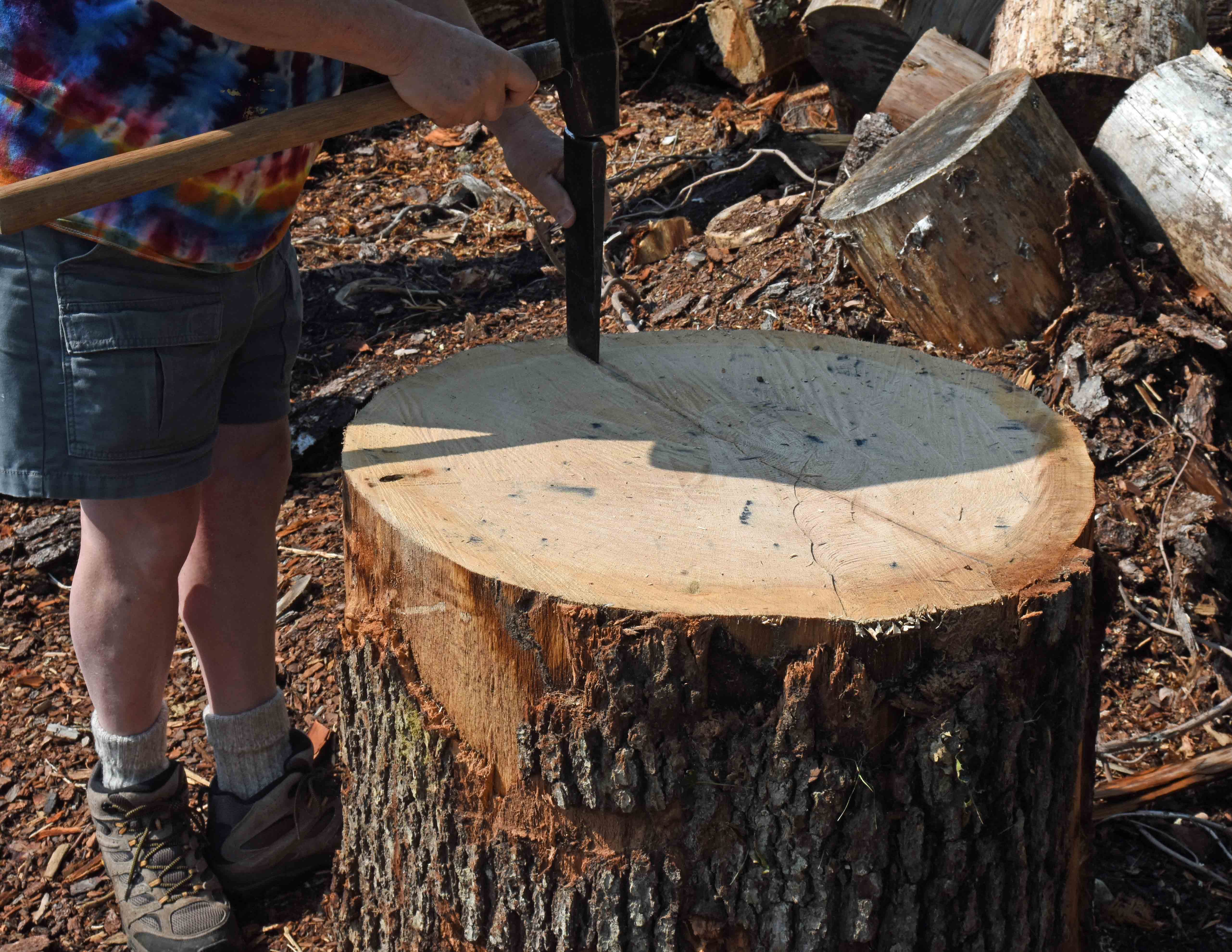 New oak log - by Peter Follansbee - Follansbee's Substack