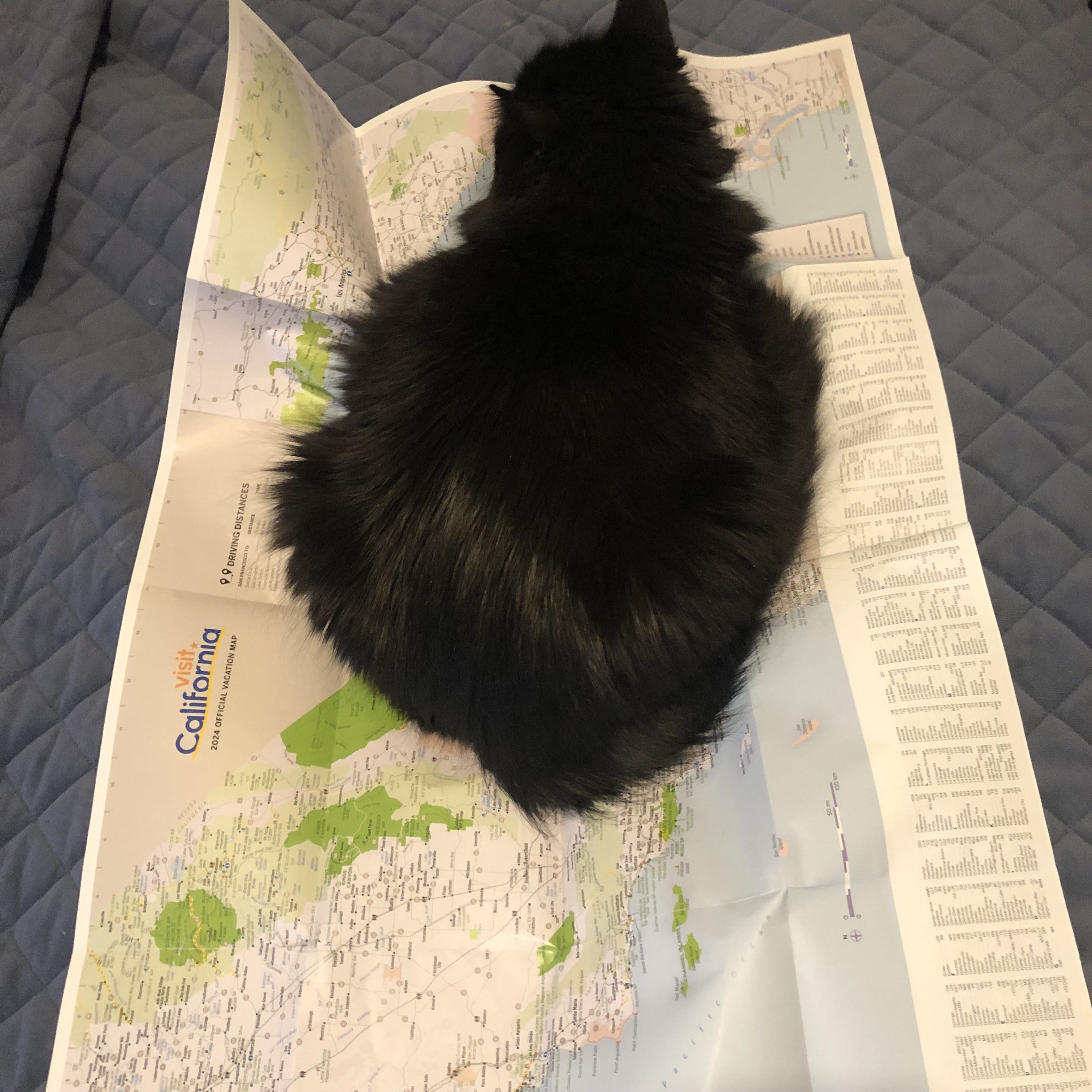 How a Story That Was Rejected 20+ Times Becomes a Winner