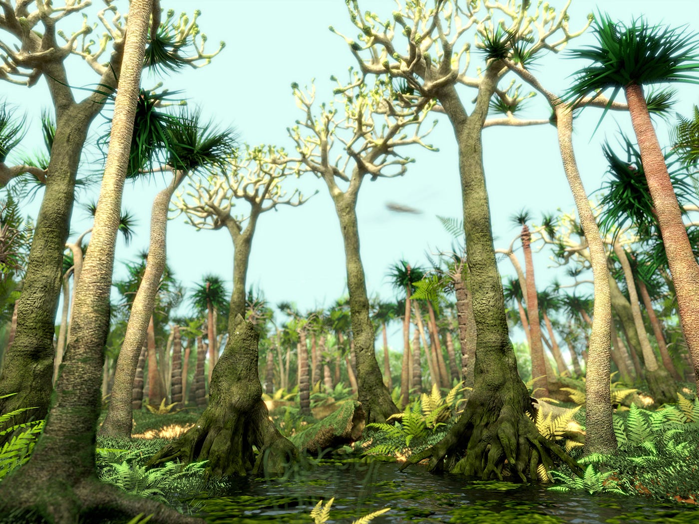 THE FOSSIL RECORD - by Len Kinder
