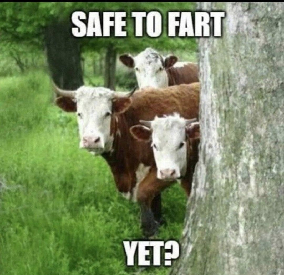 this month in memes - Rays the alarm