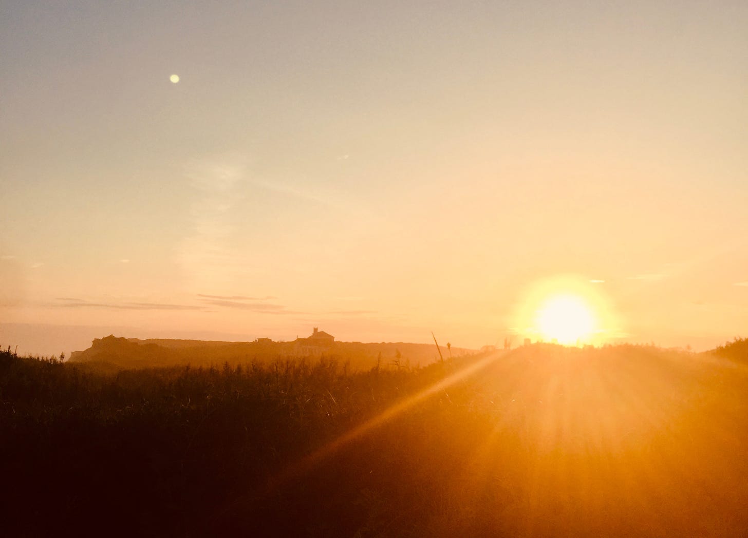 In Conversation with Laura Rubin - by Joyce Englander Levy