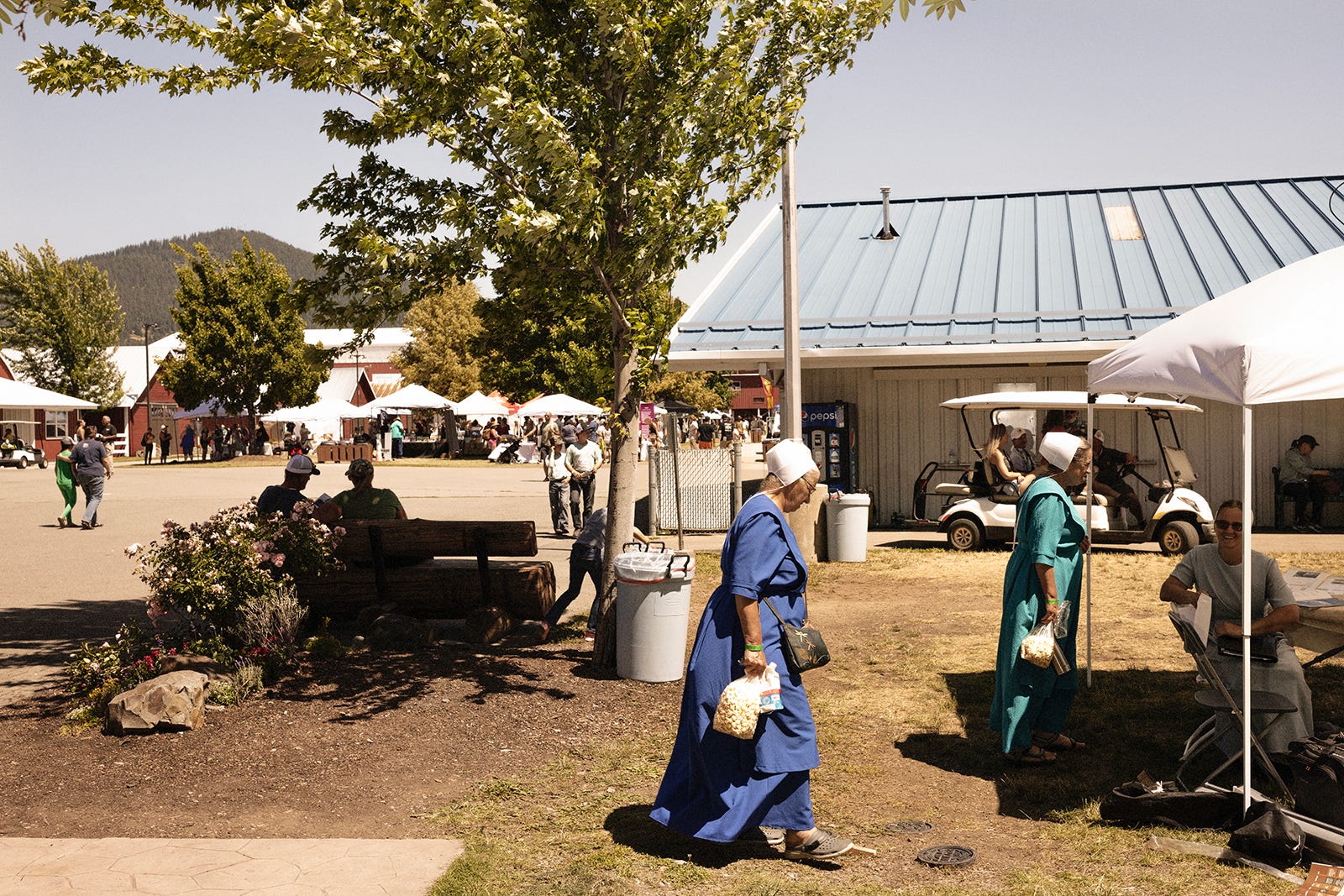 The New American Homesteaders - by Olivia Reingold