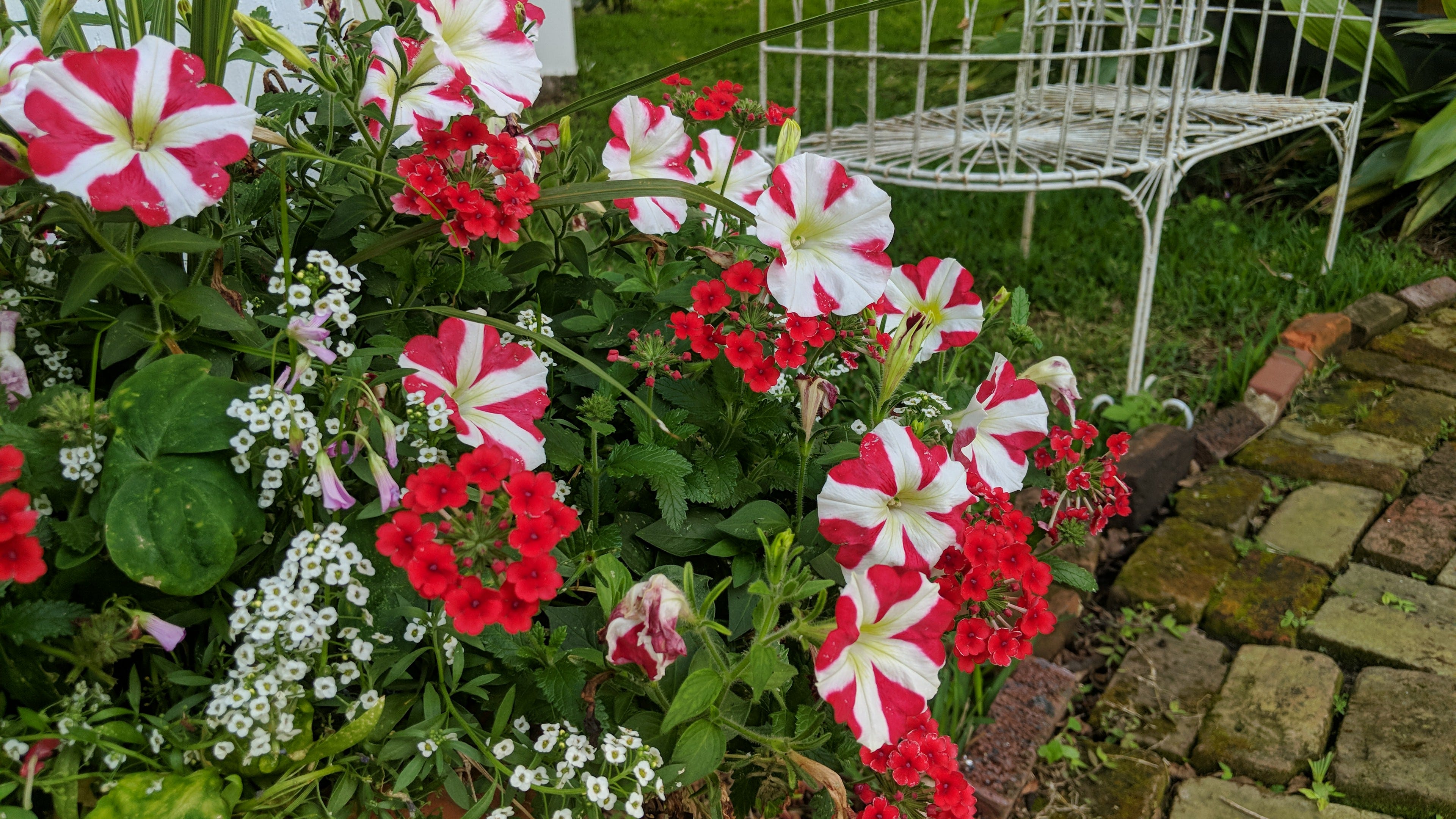 Application of AI Communication Adjustment