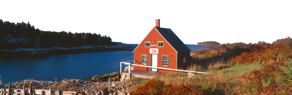 Be It Resolved! - by Suzy Weiss - The Free Press