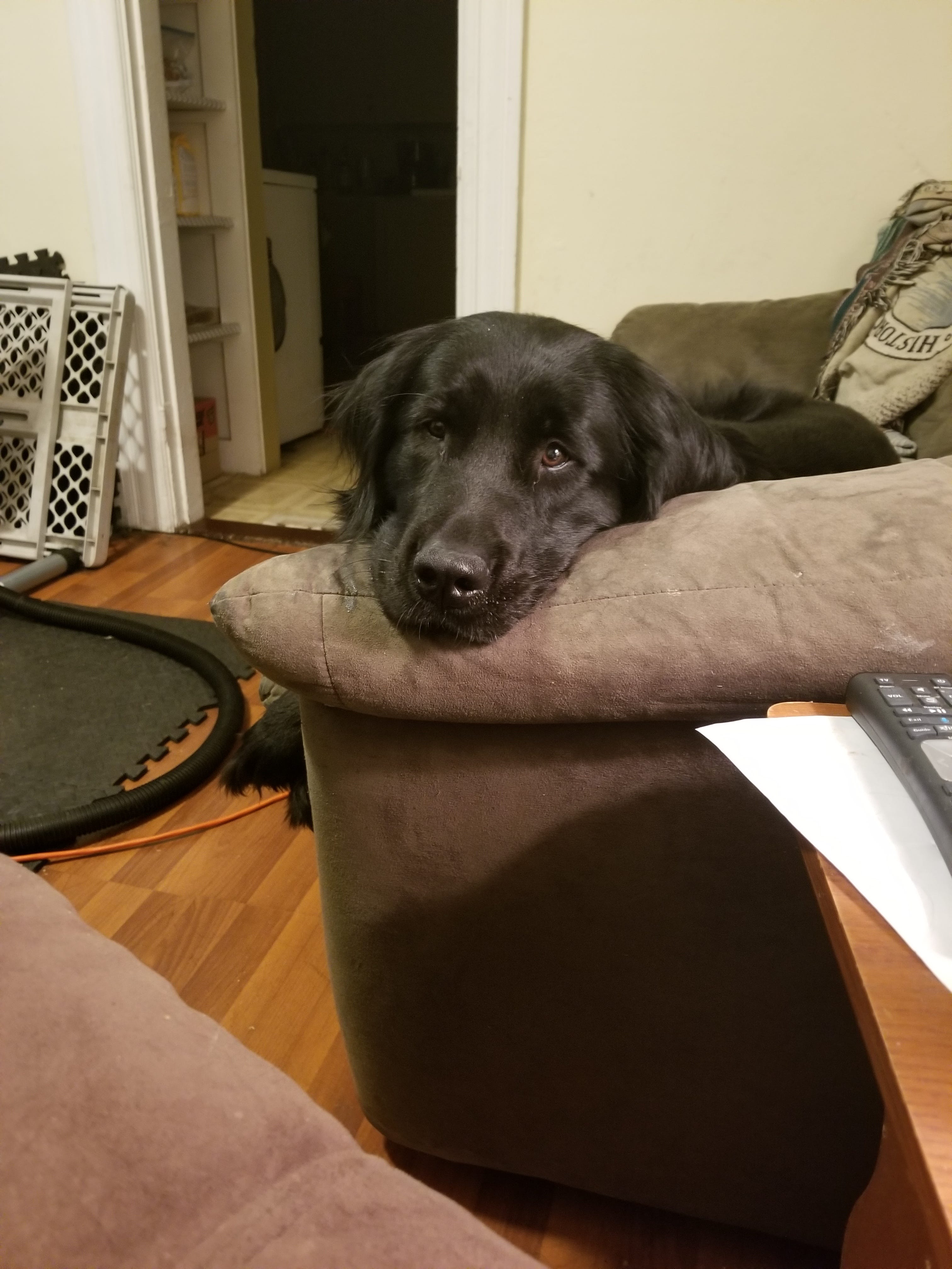 The Company We Keep - by David M. Poff - Hermit Chronicles