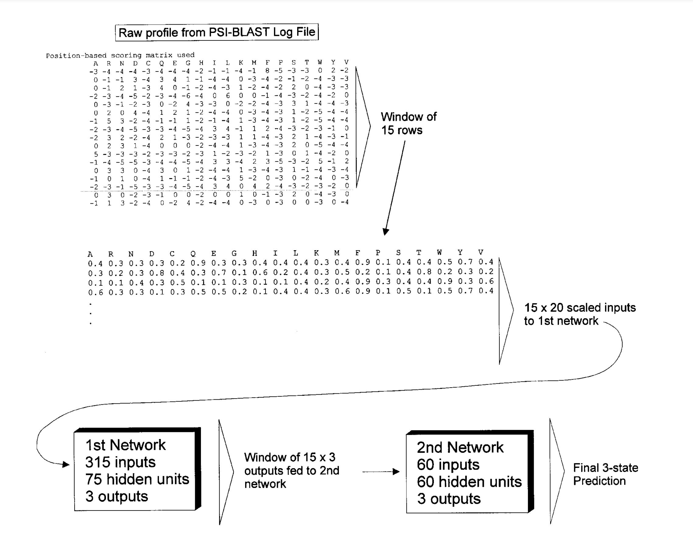 A Complete Guide to Protein Folding Prediction with RoseTTAFold: Part I