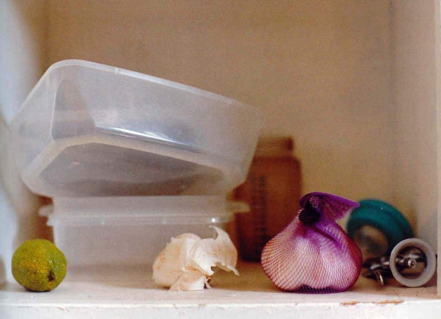 Welcome - by Lamorna Lewis