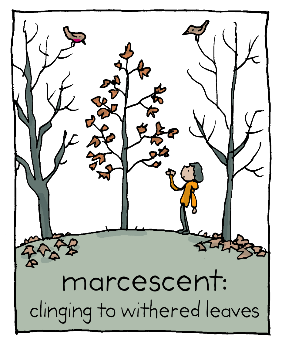 Perfect Words - by Grant Snider - Incidental Comics