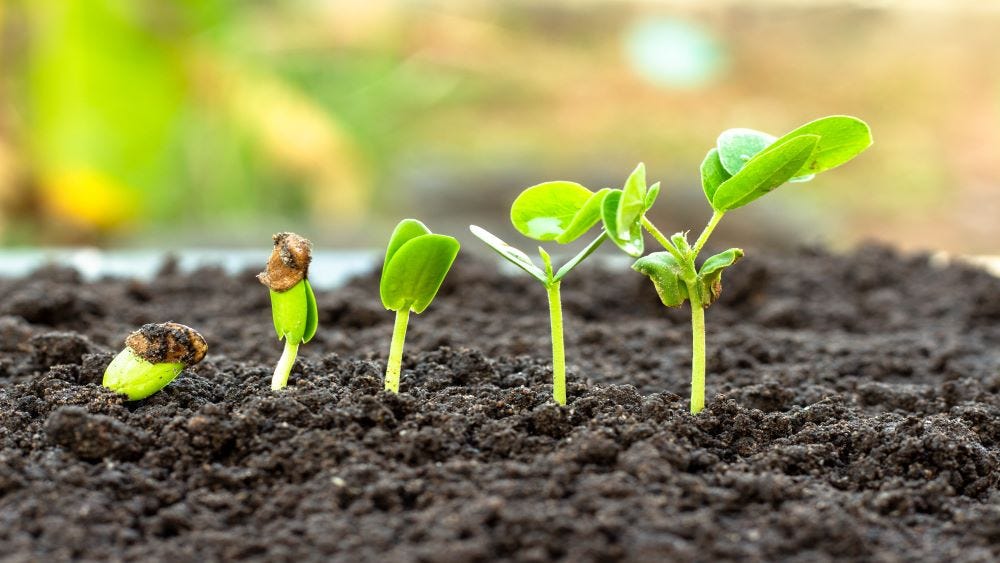 Oil Market Green Shoots? - by Anas Alhajji