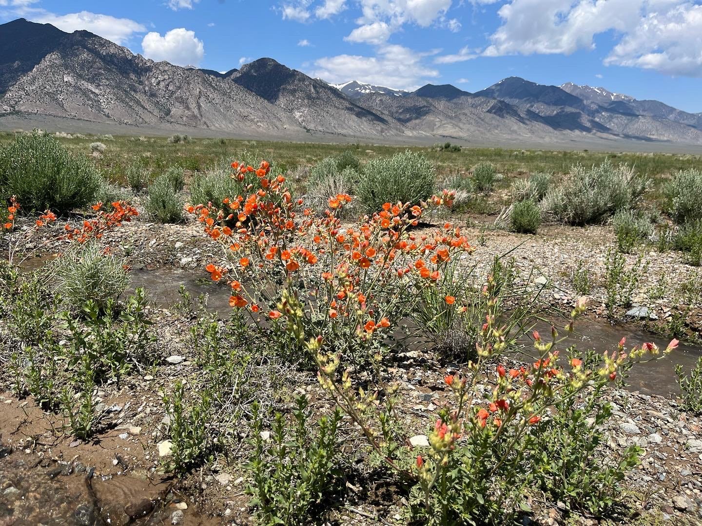 Writing about water - by Daniel Rothberg