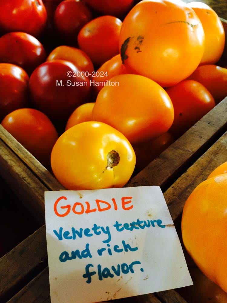 Acid Reflux - CalmGut™ Substack