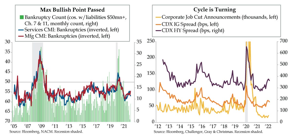 Triggering the Wasabi Receptor - by Virginia Hassell