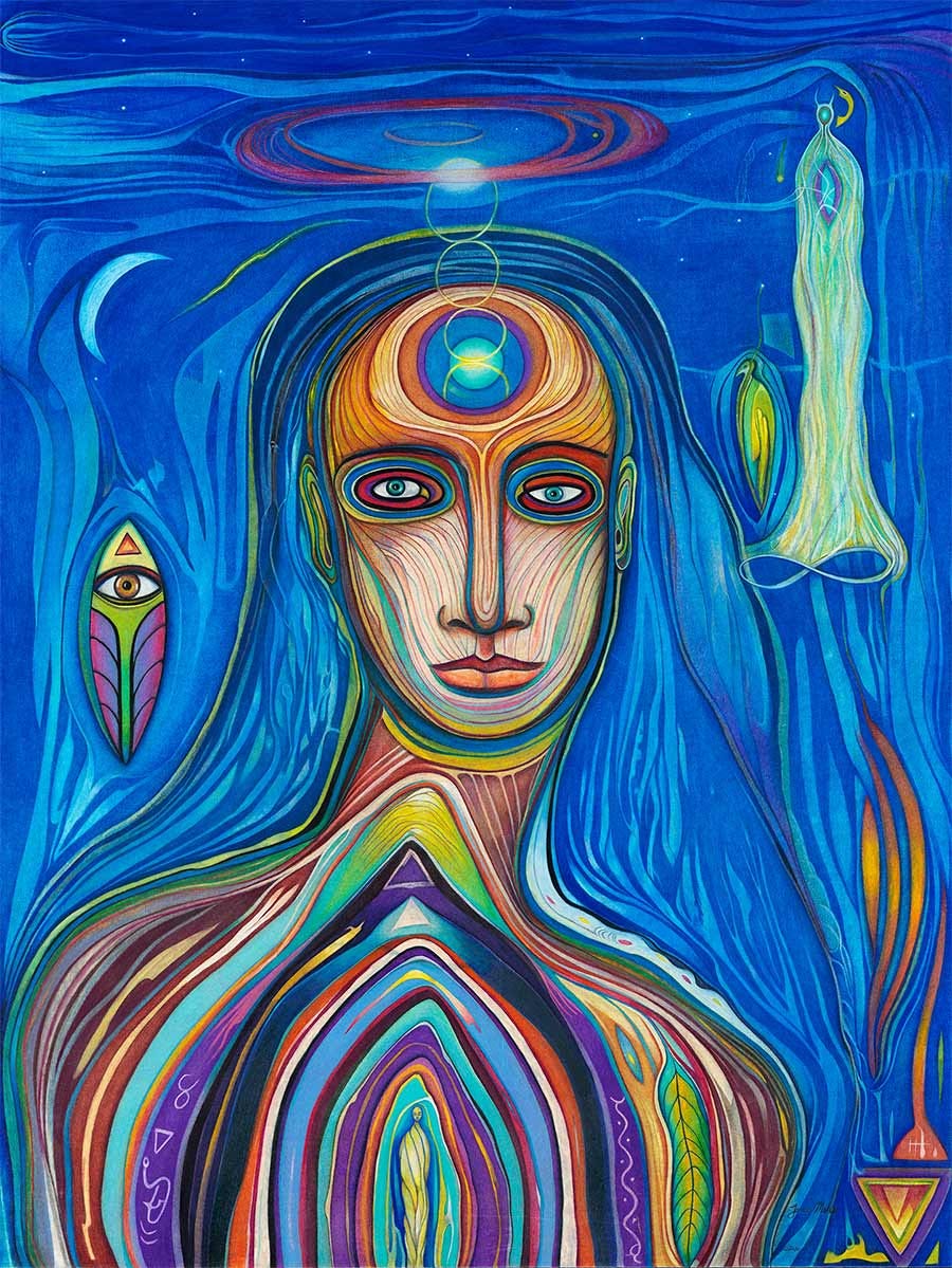 The Extraordinary Saga of the WingMakers Material