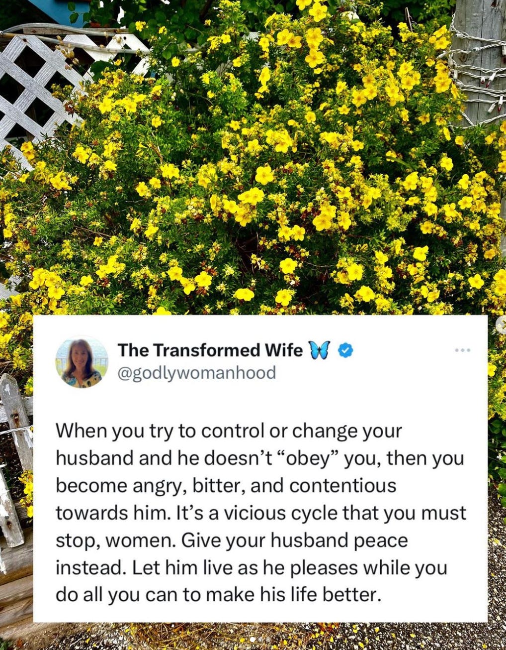 #TradWife Life as Self-Annihilation