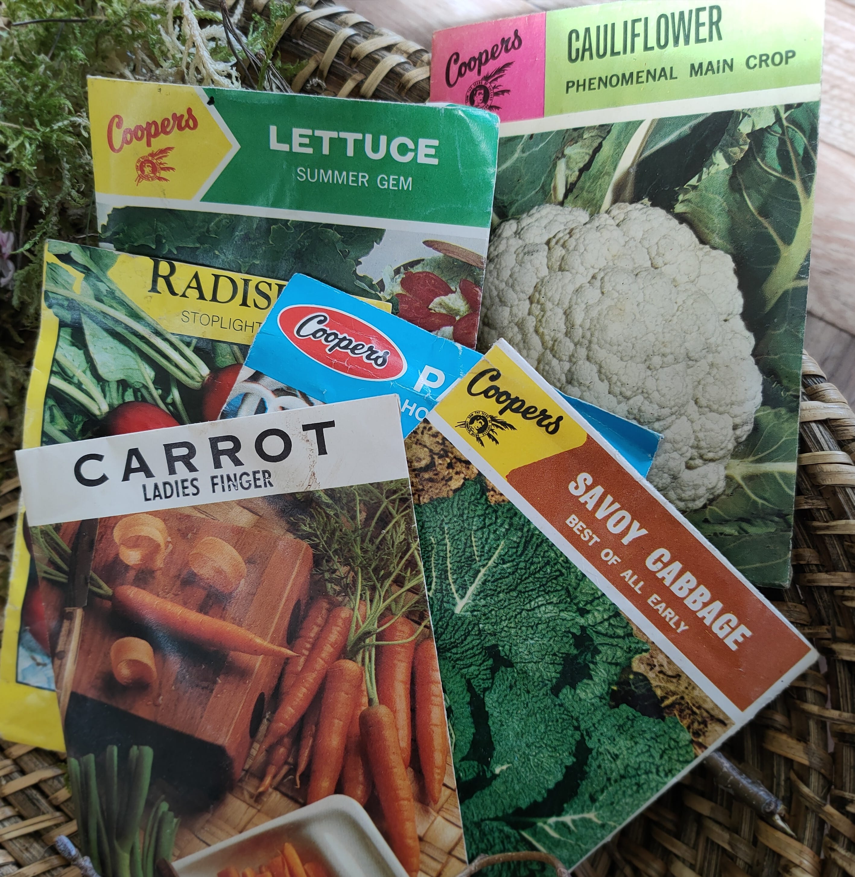 Ostara - by Bron Marshall - The Imbolc Lioness