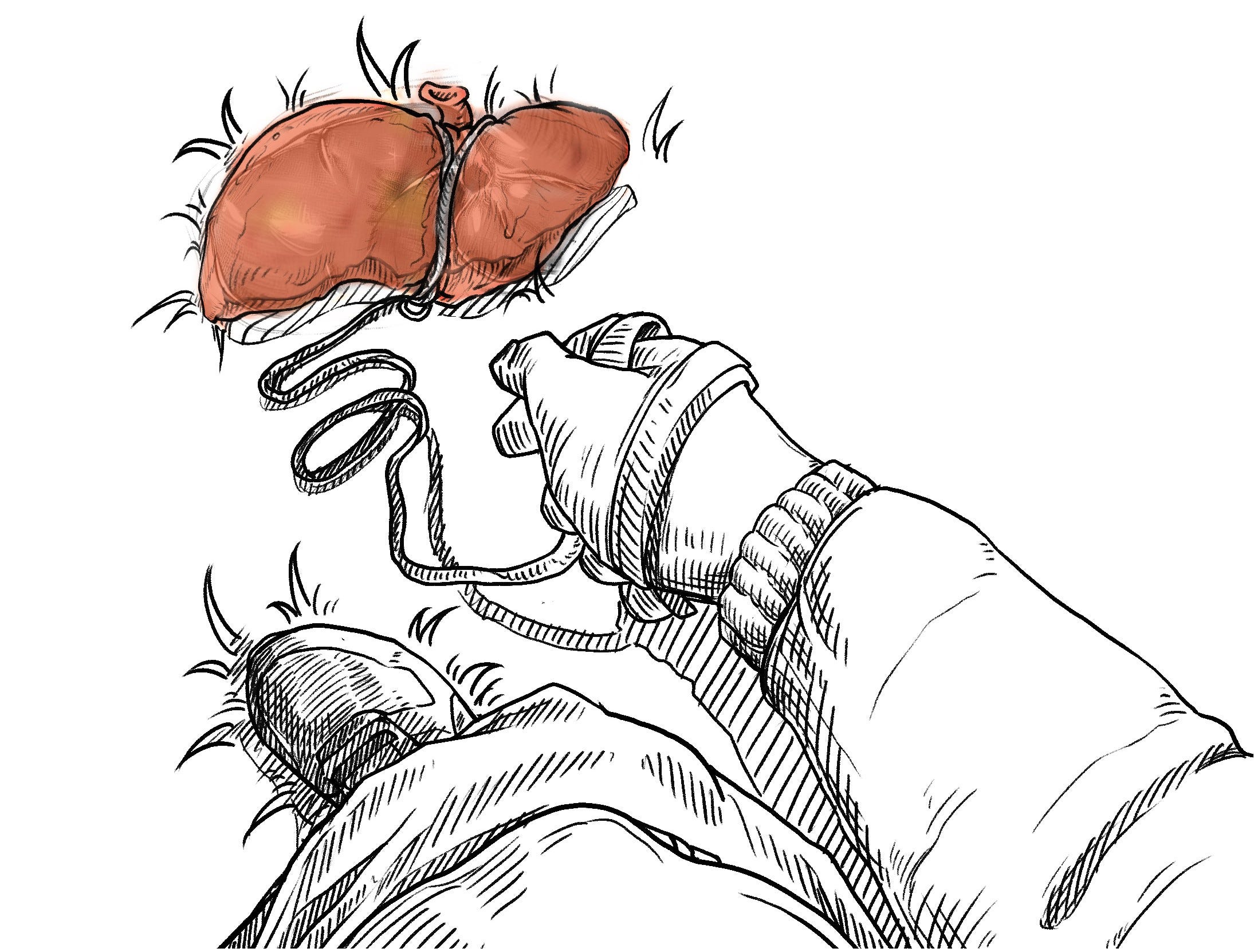 Gap of the Gods - Unsatisfactory Answers with Colton Lazars