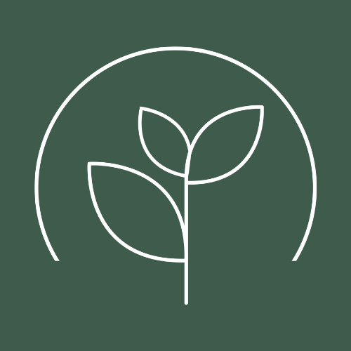 Rise Shine Cook subscriber chat