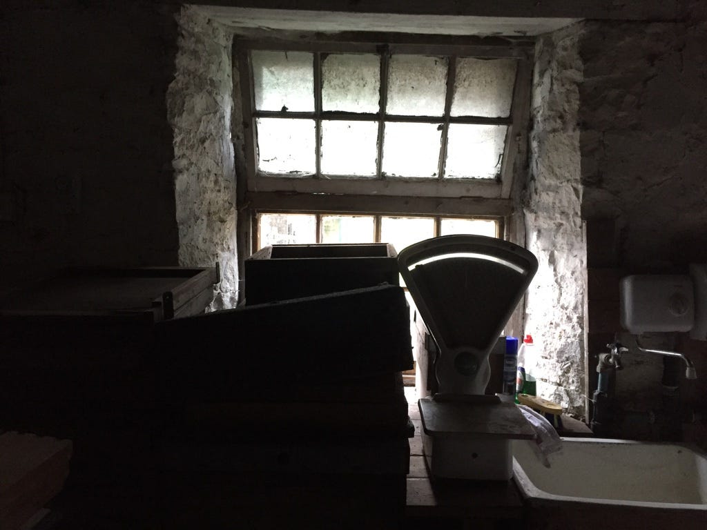 The Potting Shed - by Caroline Beck - DIRT