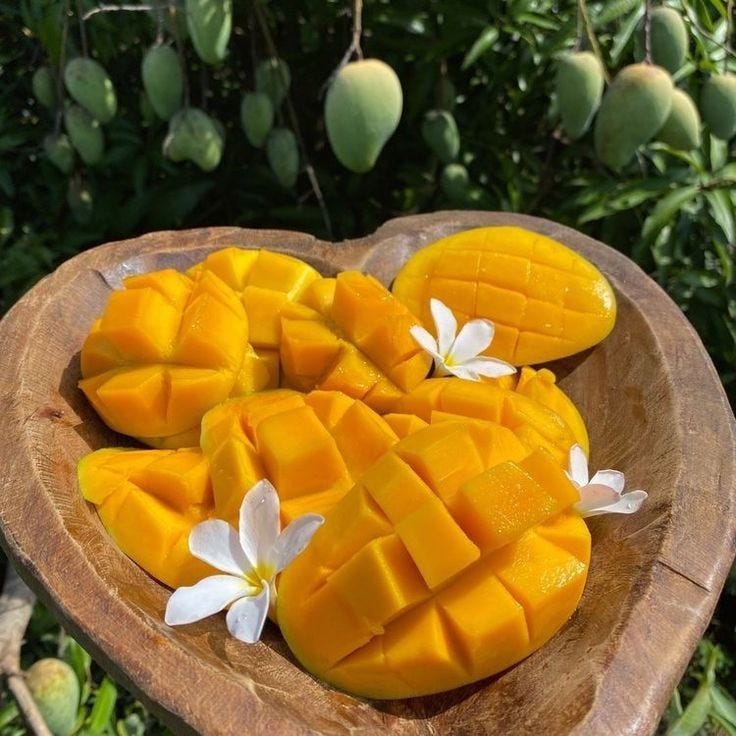 Mangoes are in season. So are we. - Frodor Foods