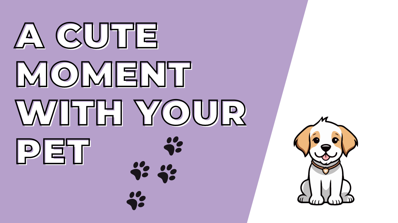 Why thumbnails are important and dragon pets - by Valkiria