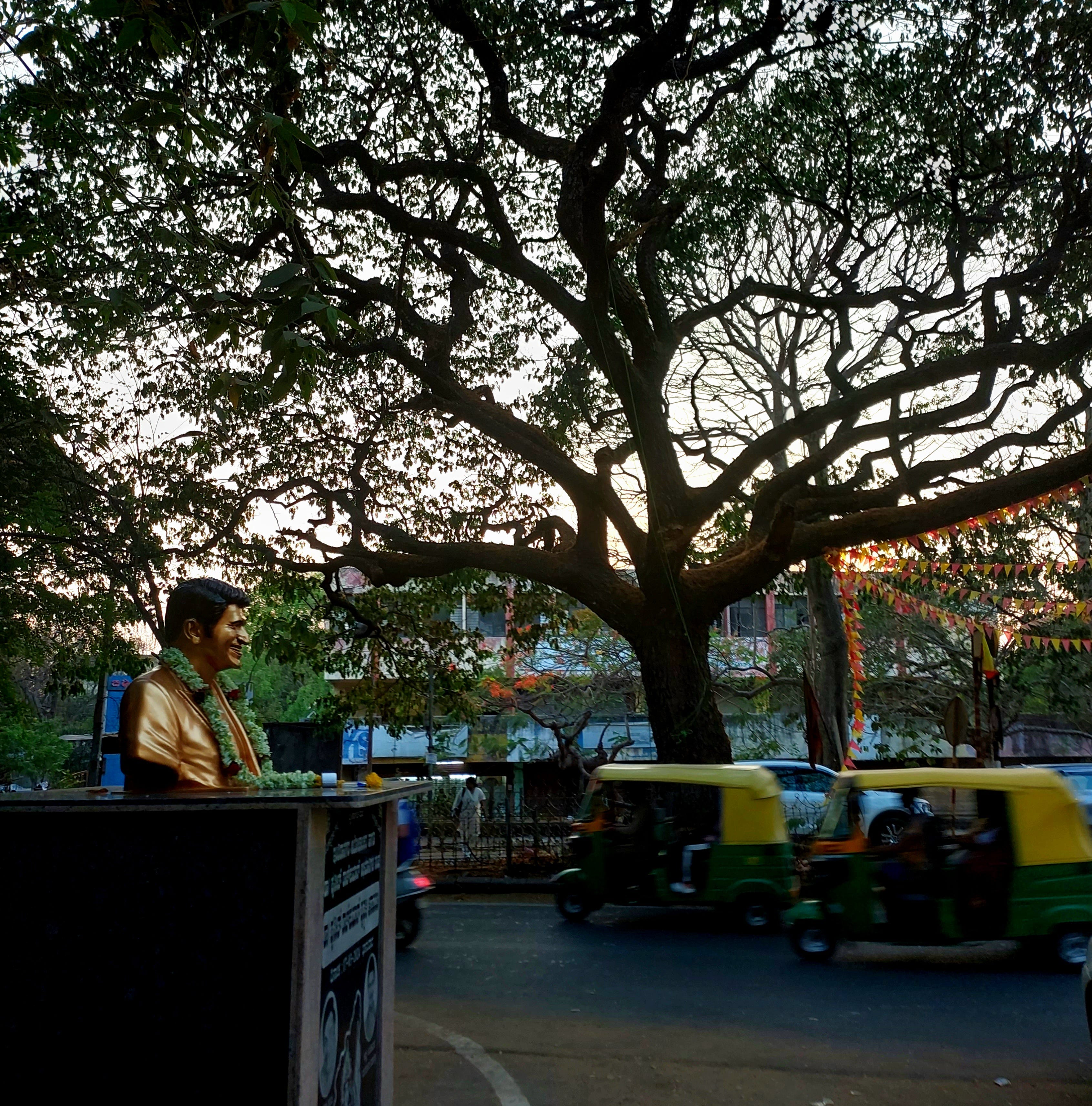 Bangalore Blues - by Vikram Shah - Vikram’s Substack