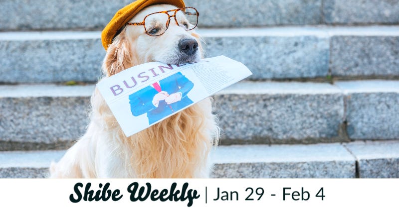 Shibe Weekly No. 5 - by daanksy - Shibe Weekly