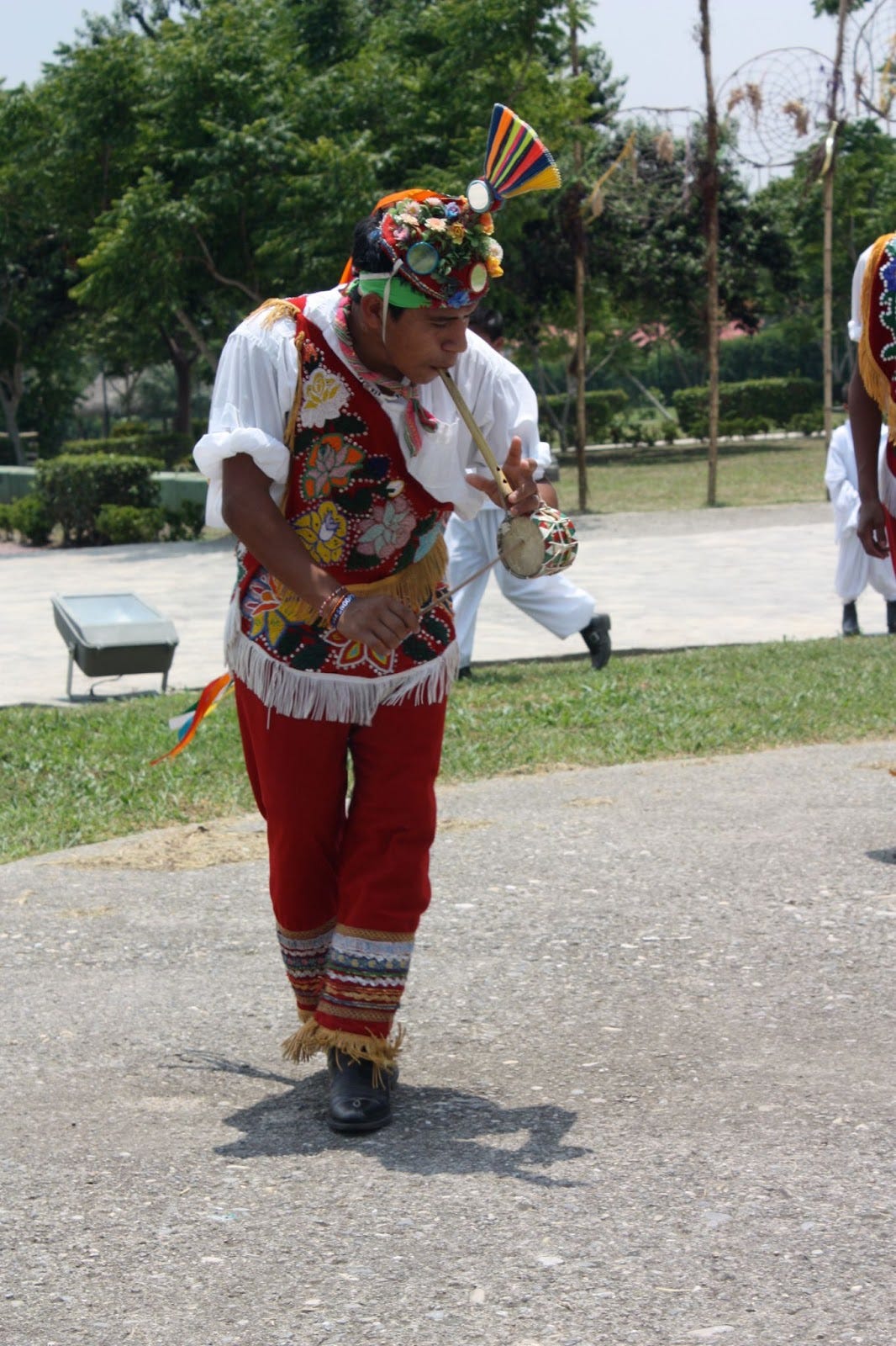 The Mexican Tradition of Voladores - by Ricardo Romo, Ph.D