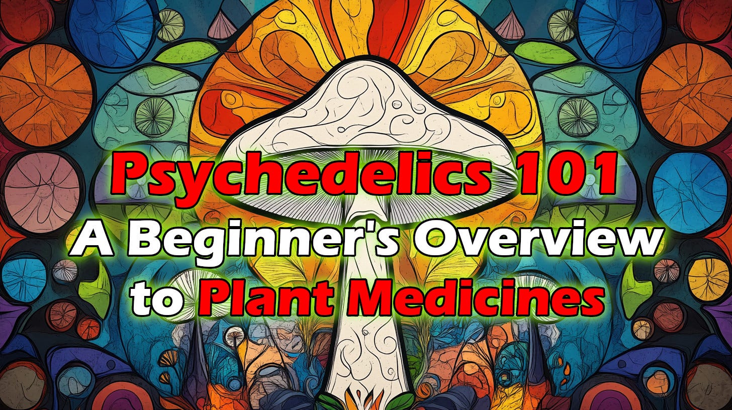 Psychedelics 101: An Introductory Guide for First-Time Seekers