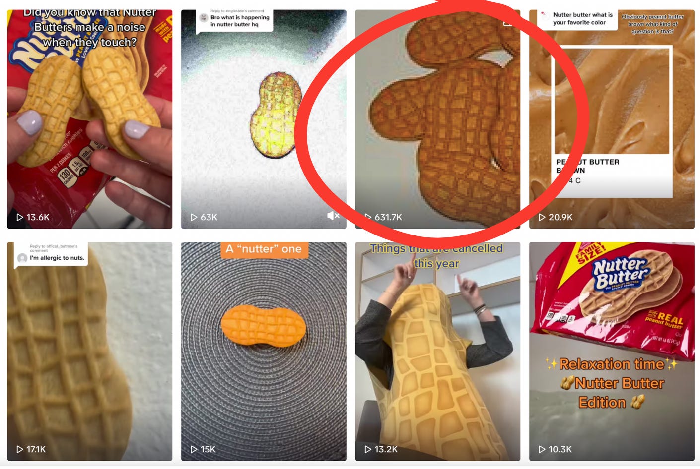 Nutter Butter Committed to the Bit—It Paid Off a Year Later