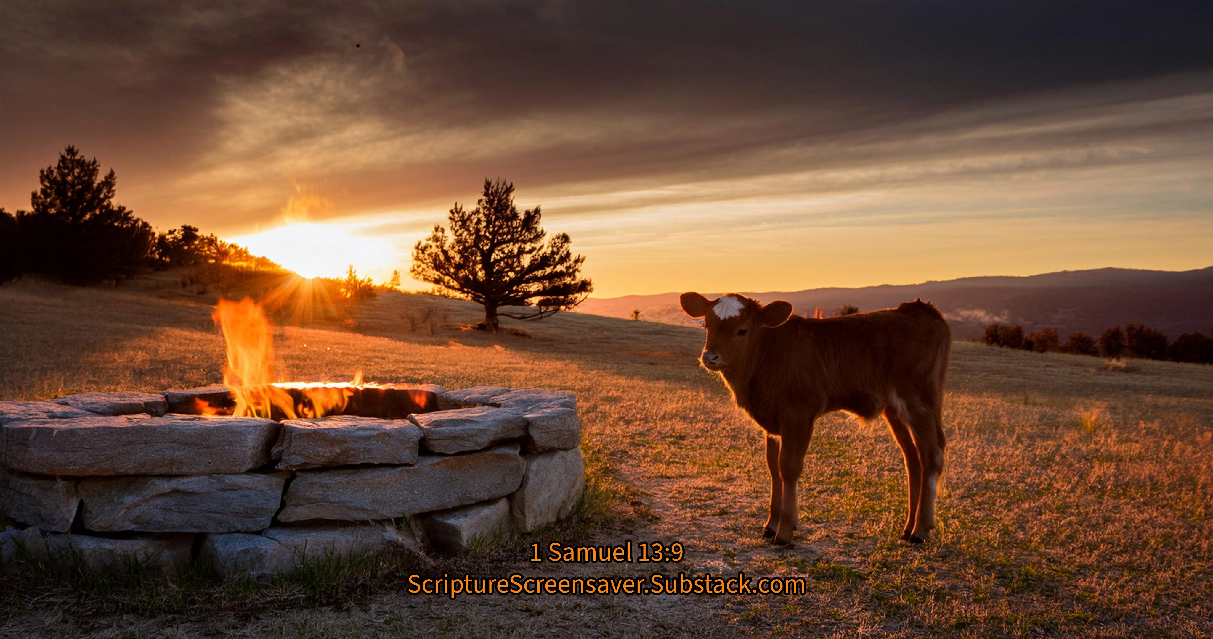 A Sacrificial Offering... - Scripture Screensaver