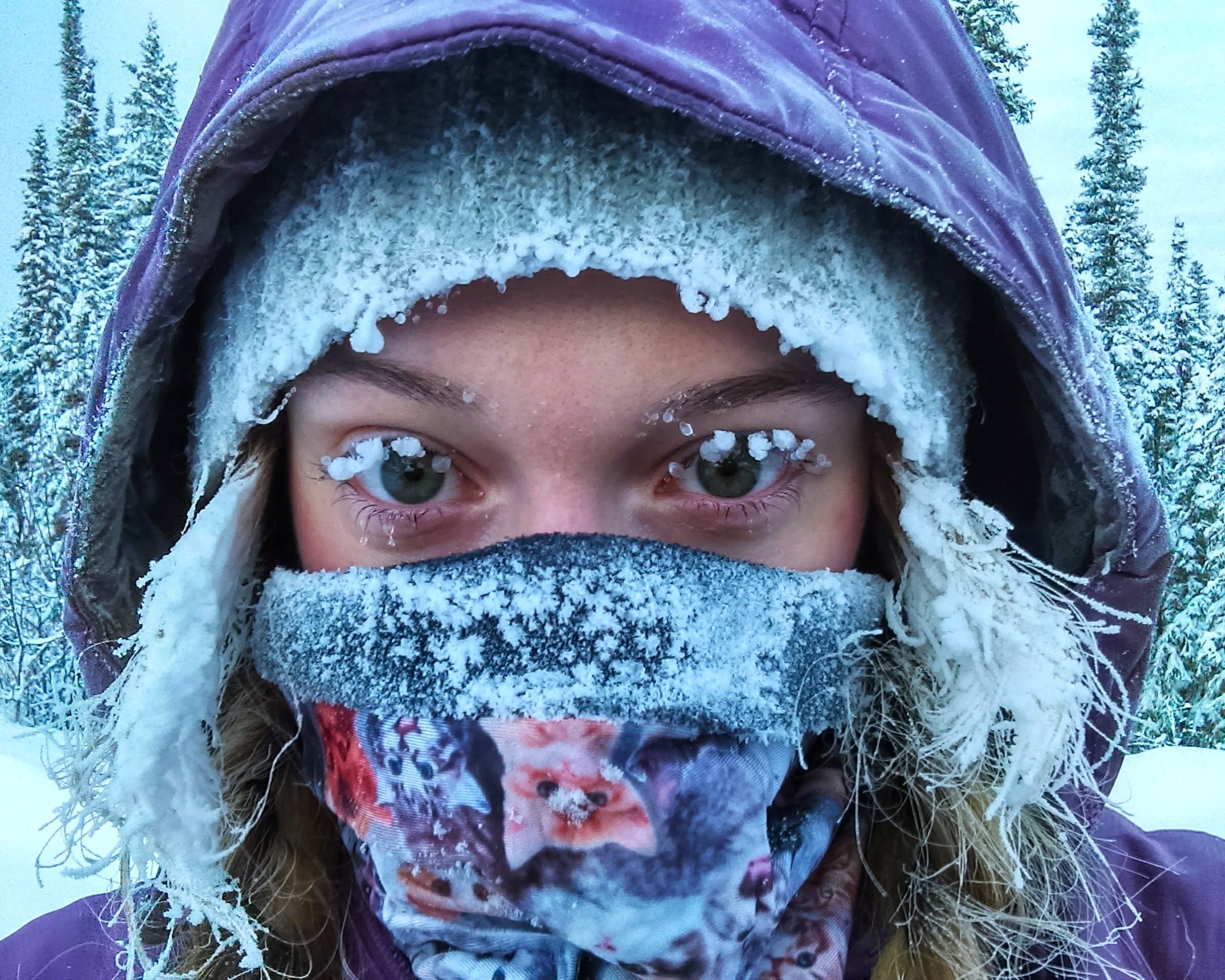 Chelsey Cook | Substack