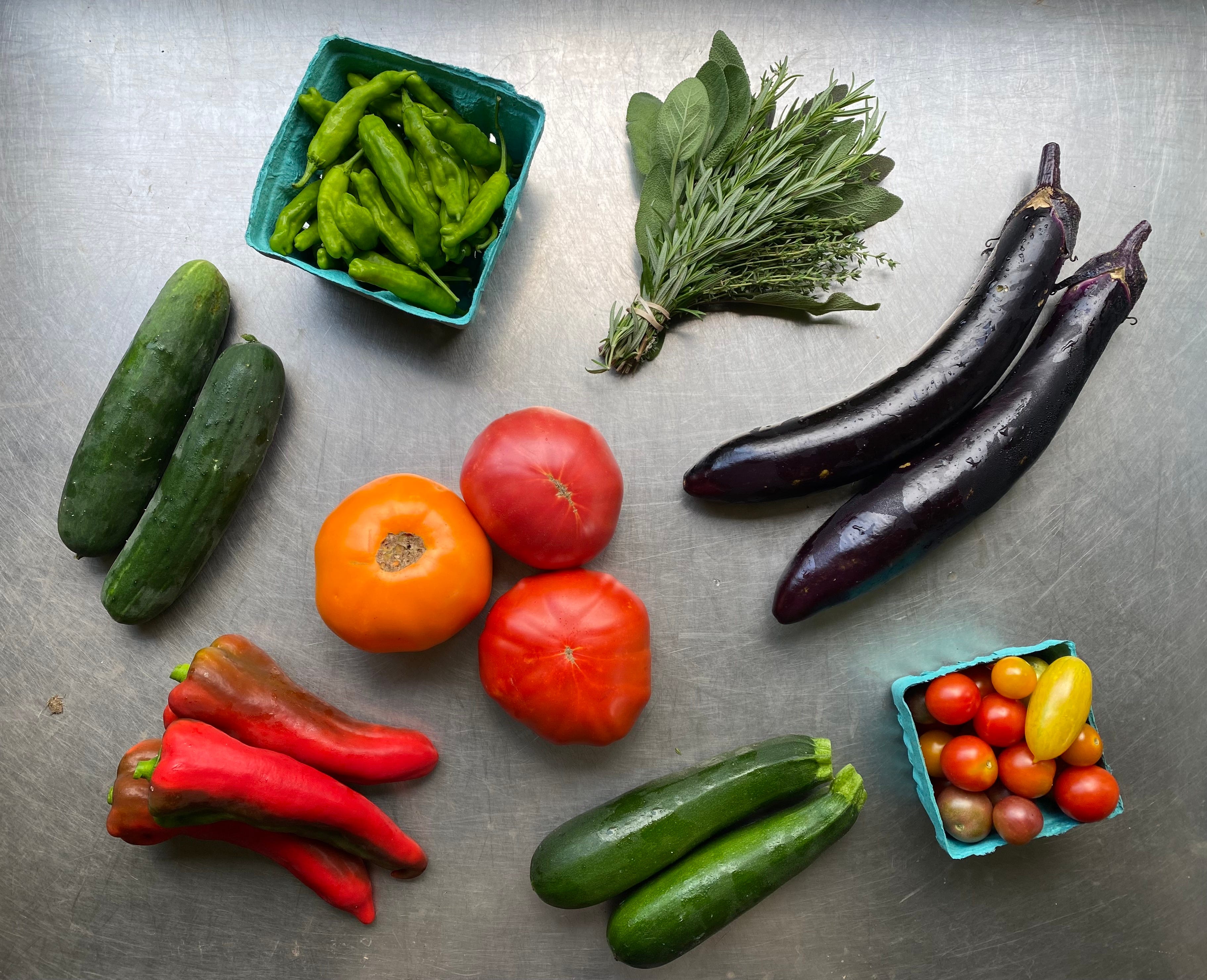 PART 2: How to Make a Planting Plan - by Michelle Aronson