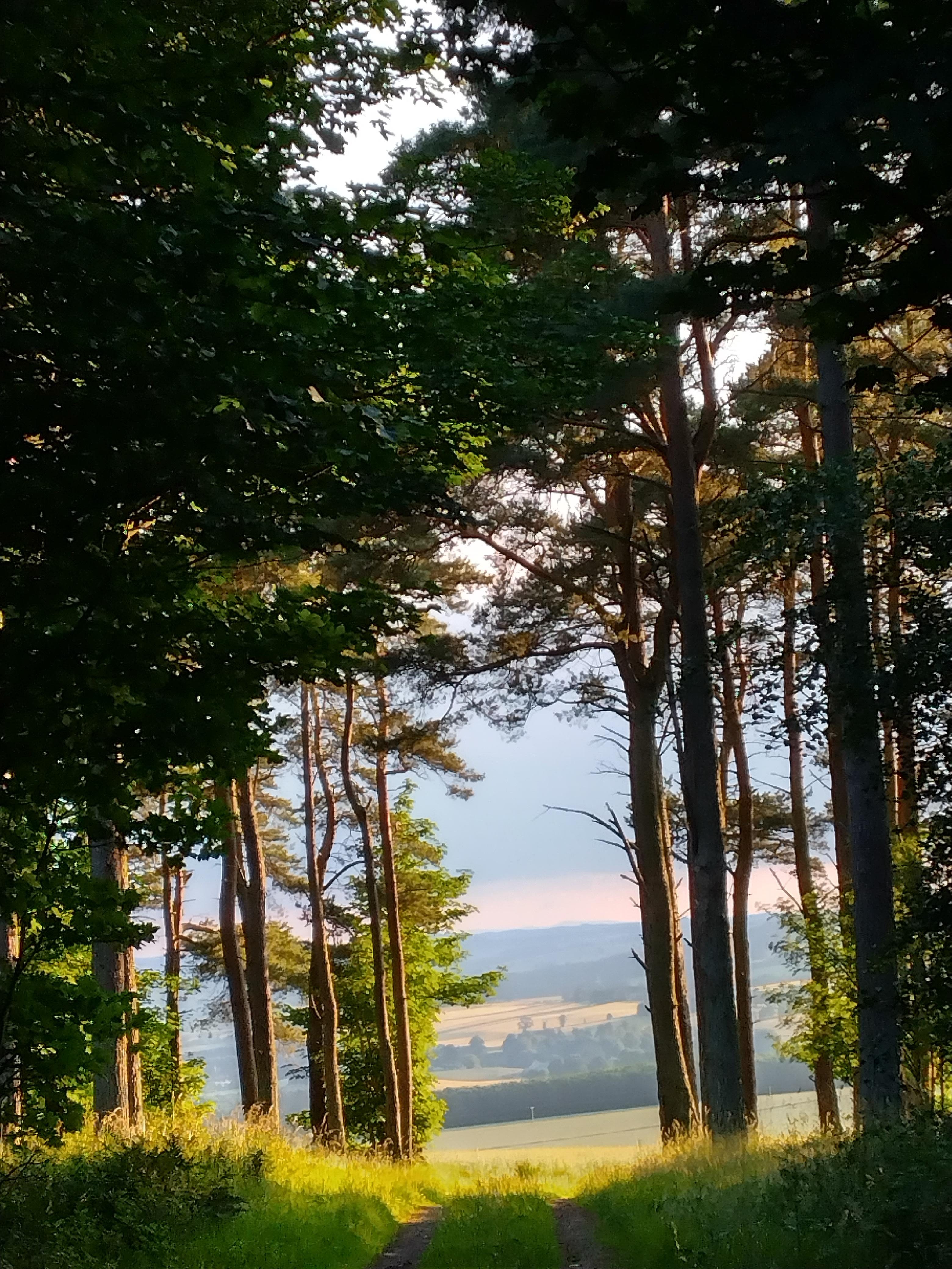 'the old shining road' - by Martha Pollard