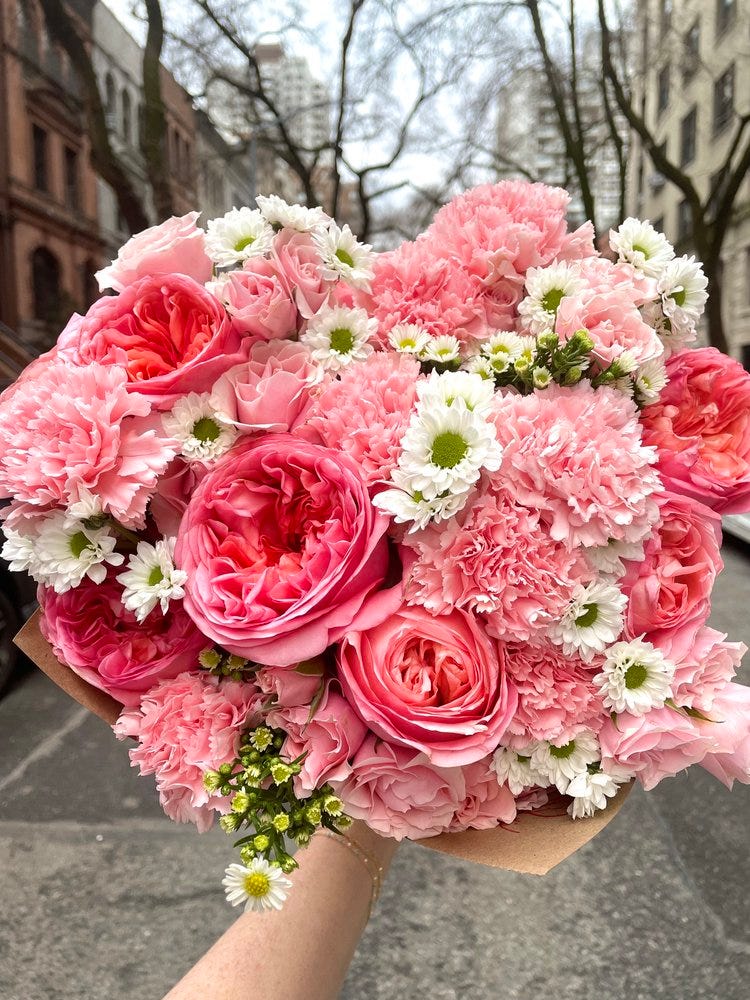 Carnations - One Petal at a Time