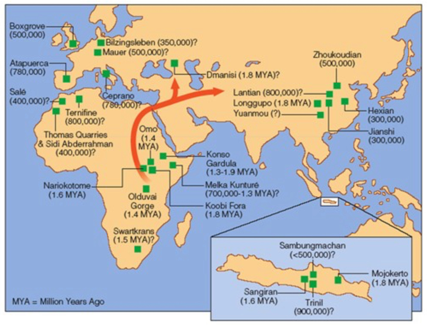 Southeast Asia: 1.8 million years of human prehistory (Part 1)