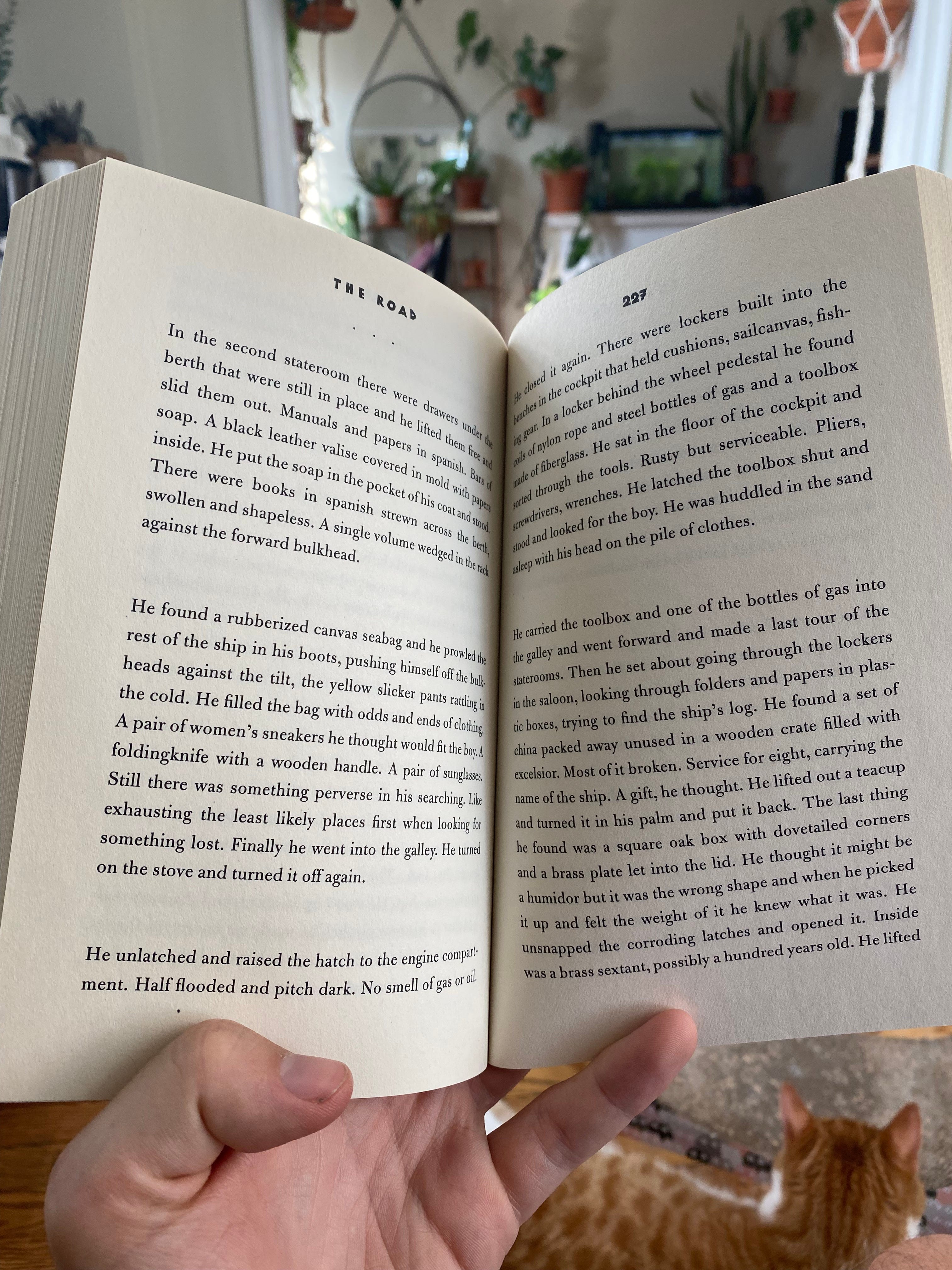in memoriam of cormac mccarthy - by c.d. mudge - unspooling