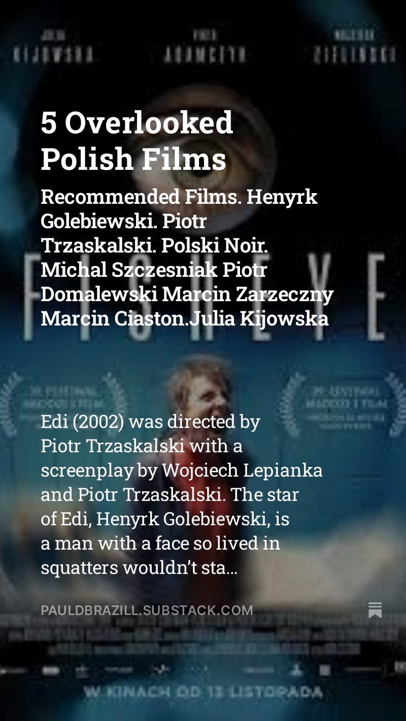 #films #polskinoir: 5 Overlooked Polish Films